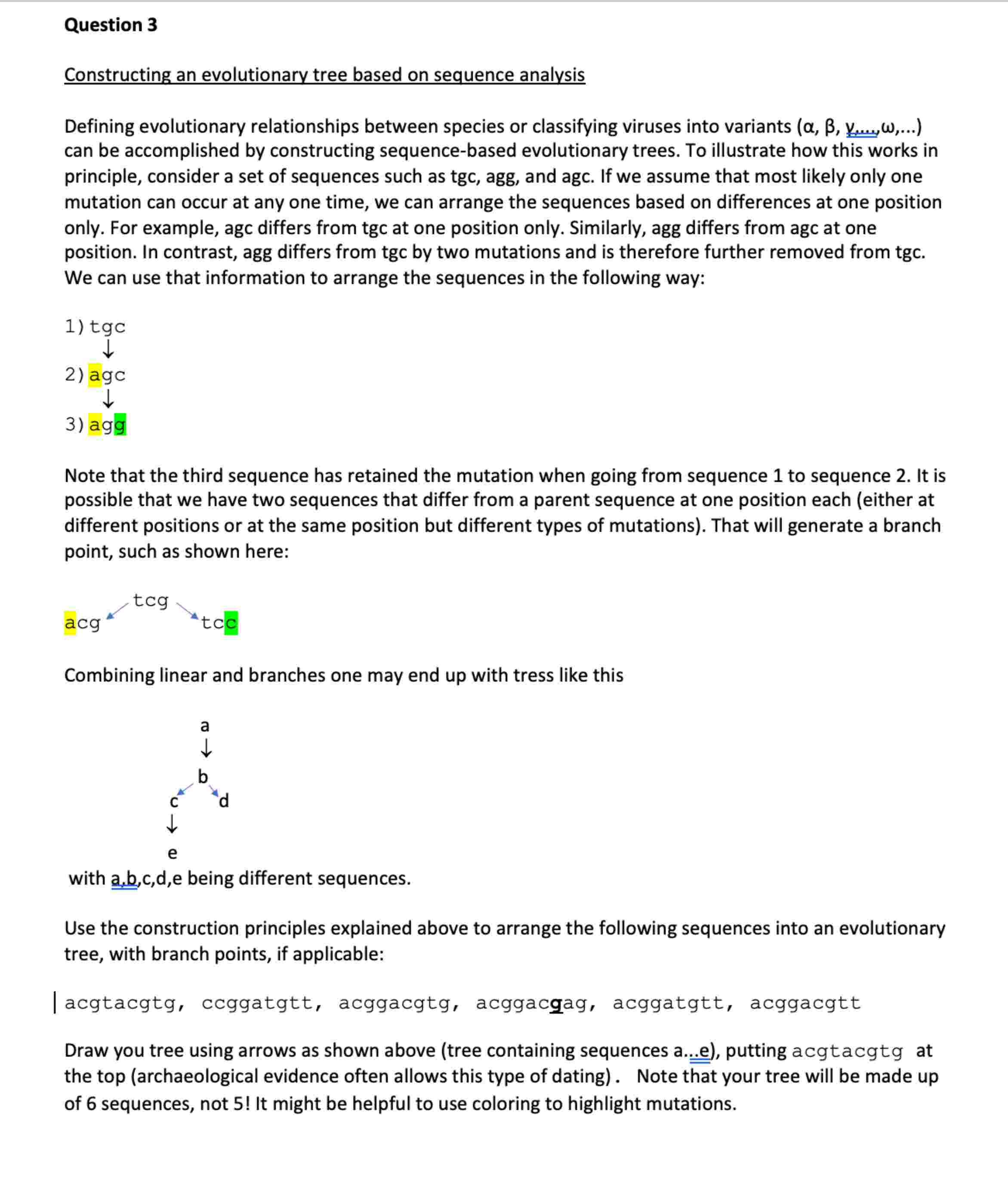 Solved Question 3\\nConstructing an evolutionary tree based | Chegg.com