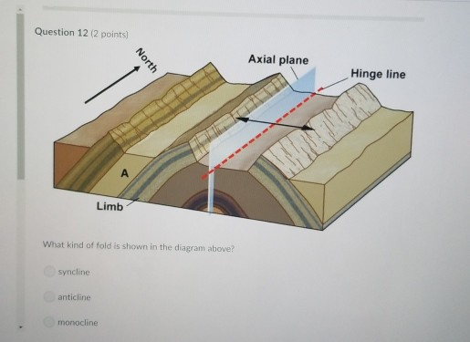 Solved Question 12 (2 points) Axial plane Hinge line Limb | Chegg.com