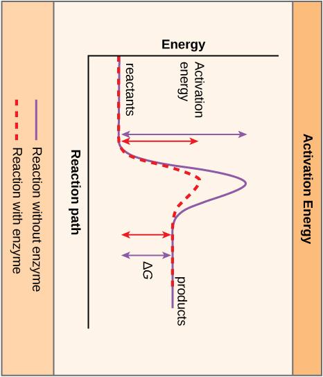 Solved Choose all the answers that apply to the | Chegg.com