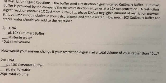 Solved B) Restriction Digest Reactions-the buffer used a | Chegg.com