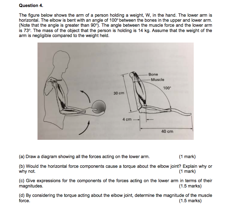Solved Question 4 The figure below shows the arm of a person | Chegg.com