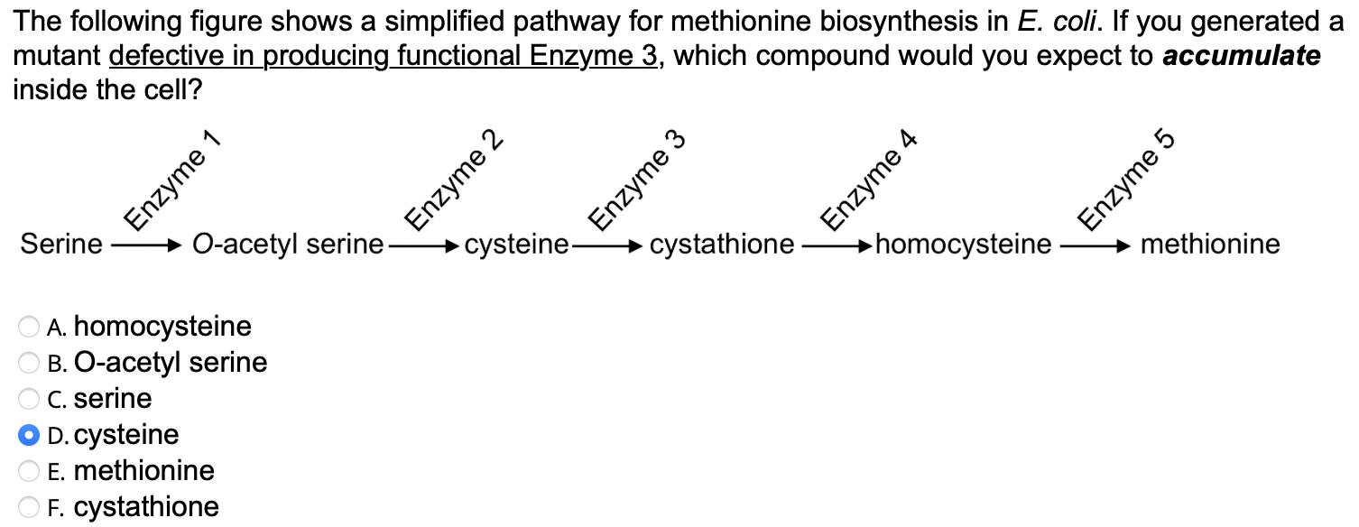 Solved The following figure shows a simplified pathway for | Chegg.com