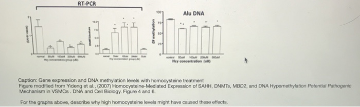 Alu DNA Caption: Gene expression and DNA methylation | Chegg.com