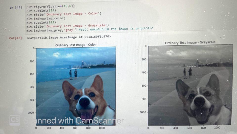 Signal processing(image) with python PLEASE ANSWER/ | Chegg.com