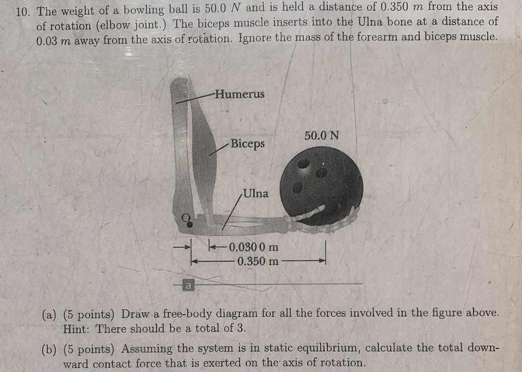 Solved 10. The weight of a bowling ball is 50.0 N and is | Chegg.com