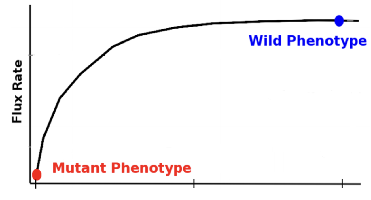 Solved Below is a graph of flux rate of a reaction for a | Chegg.com