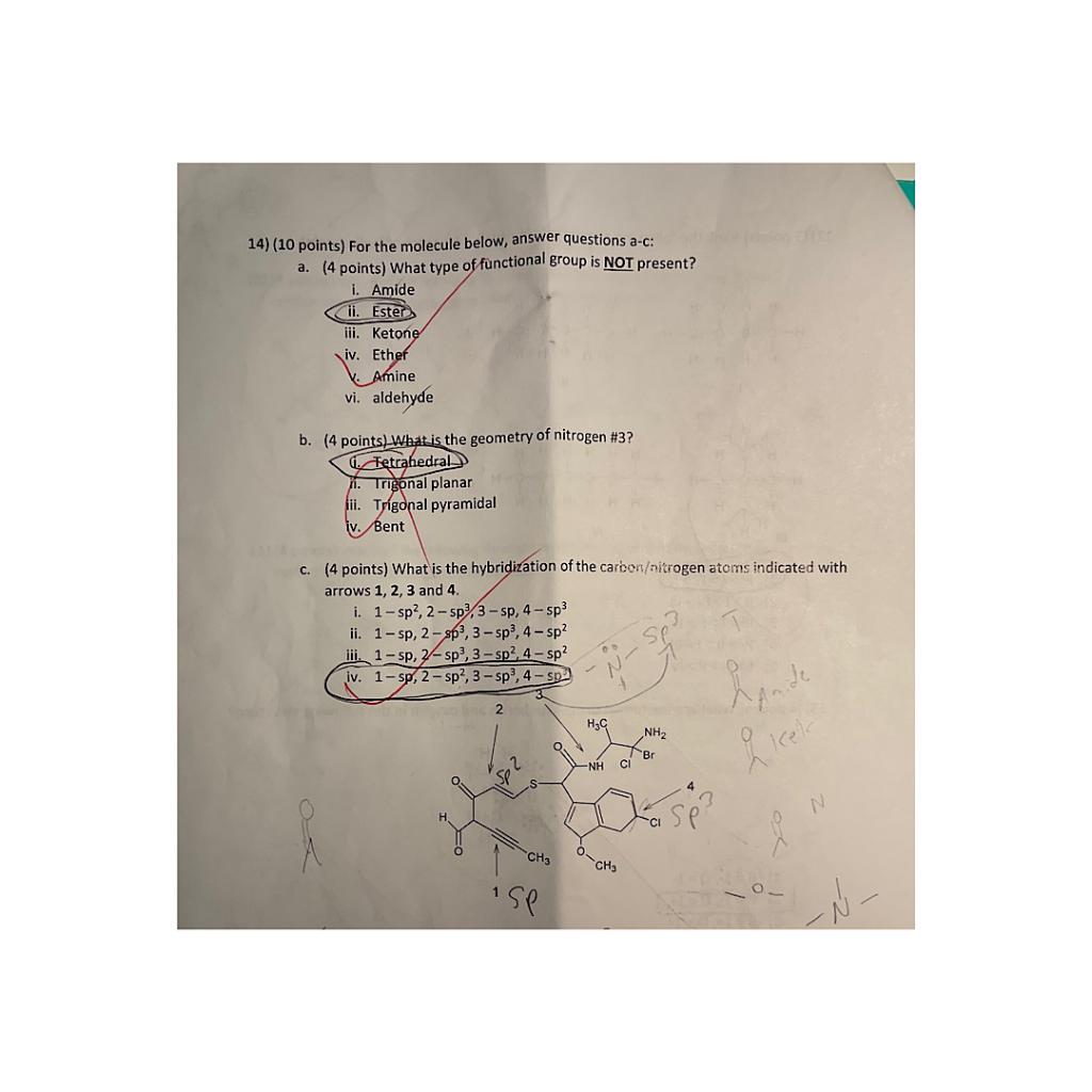 Solved 14) (10 points) For the molecule below, answer | Chegg.com