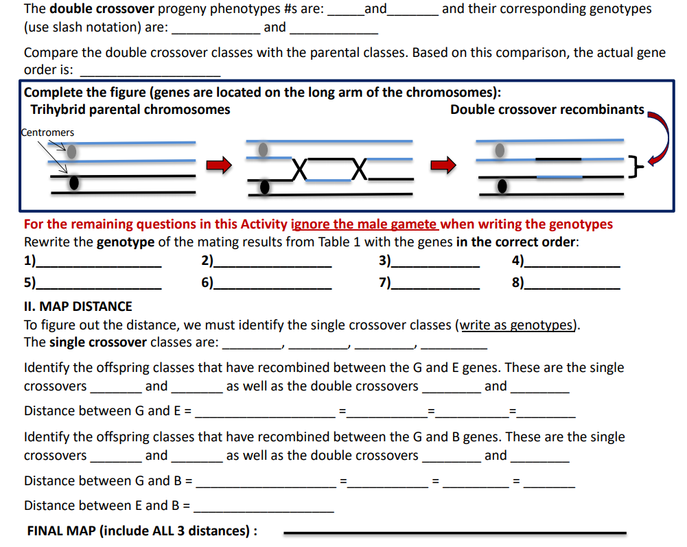 Solved The double crossover progeny phenotypes #s are: and | Chegg.com