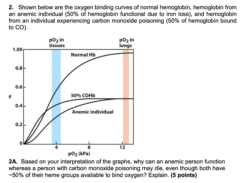 Solved 2. Shown below are the oxygen binding curves of | Chegg.com