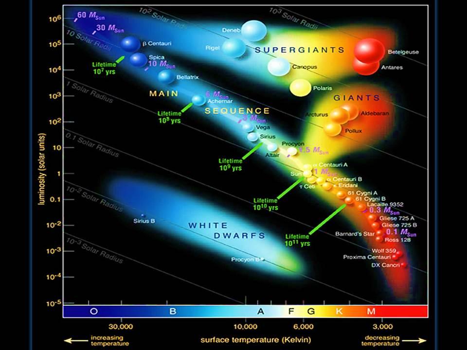 Solved Locate the following stars: Betelgeuse, Bellatrix, | Chegg.com
