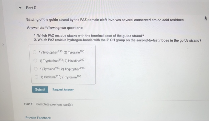 Solved Part D Binding of the guide strand by the PAZ domain | Chegg.com