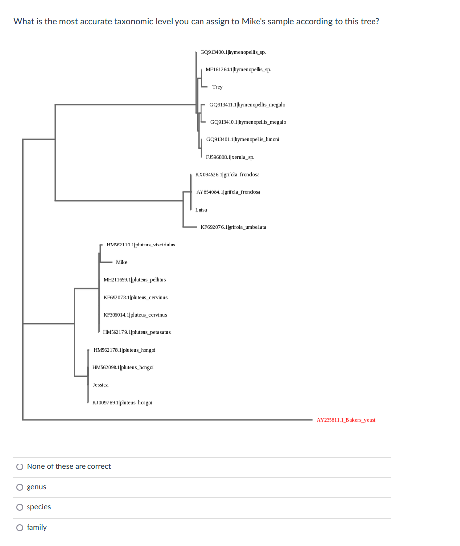 Solved What is the most accurate taxonomic level you can | Chegg.com