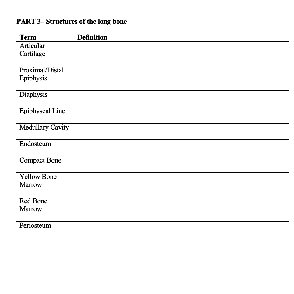 Solved PART 3-Structures of the long bone Definition Term | Chegg.com