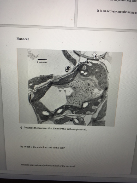 Solved Complete all questions and label any subcellular | Chegg.com