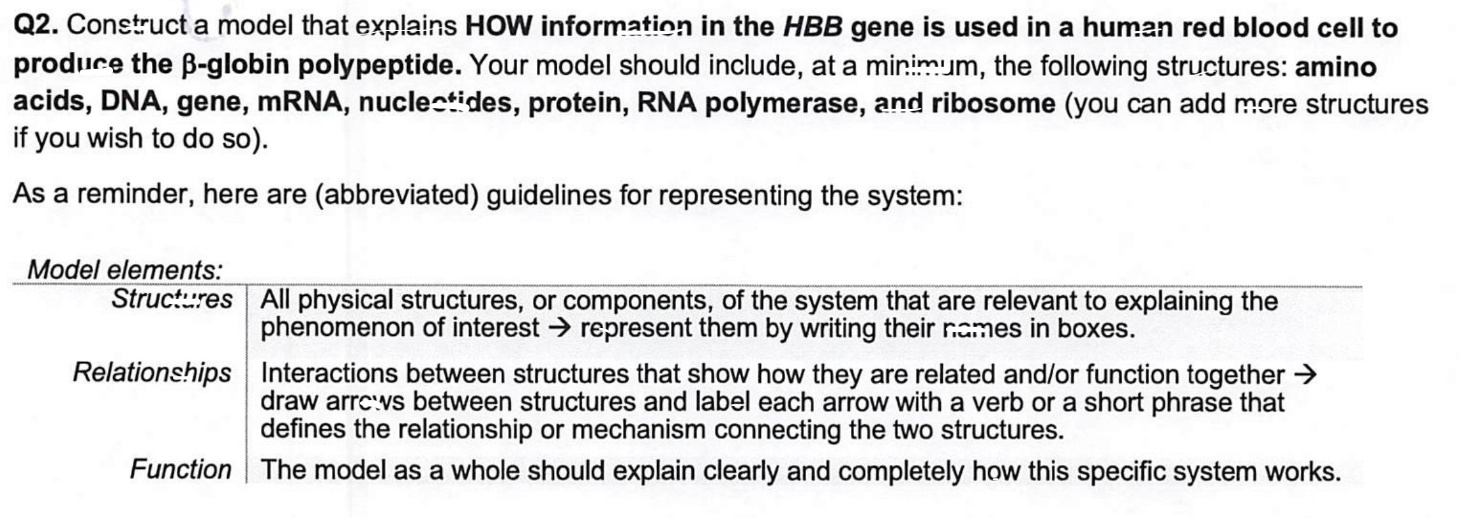 Solved Q2. Construct a model that explains HOW information | Chegg.com