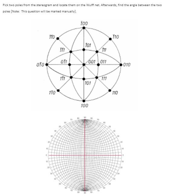 Solved Pick two poles from the stereogram and locate them on | Chegg.com