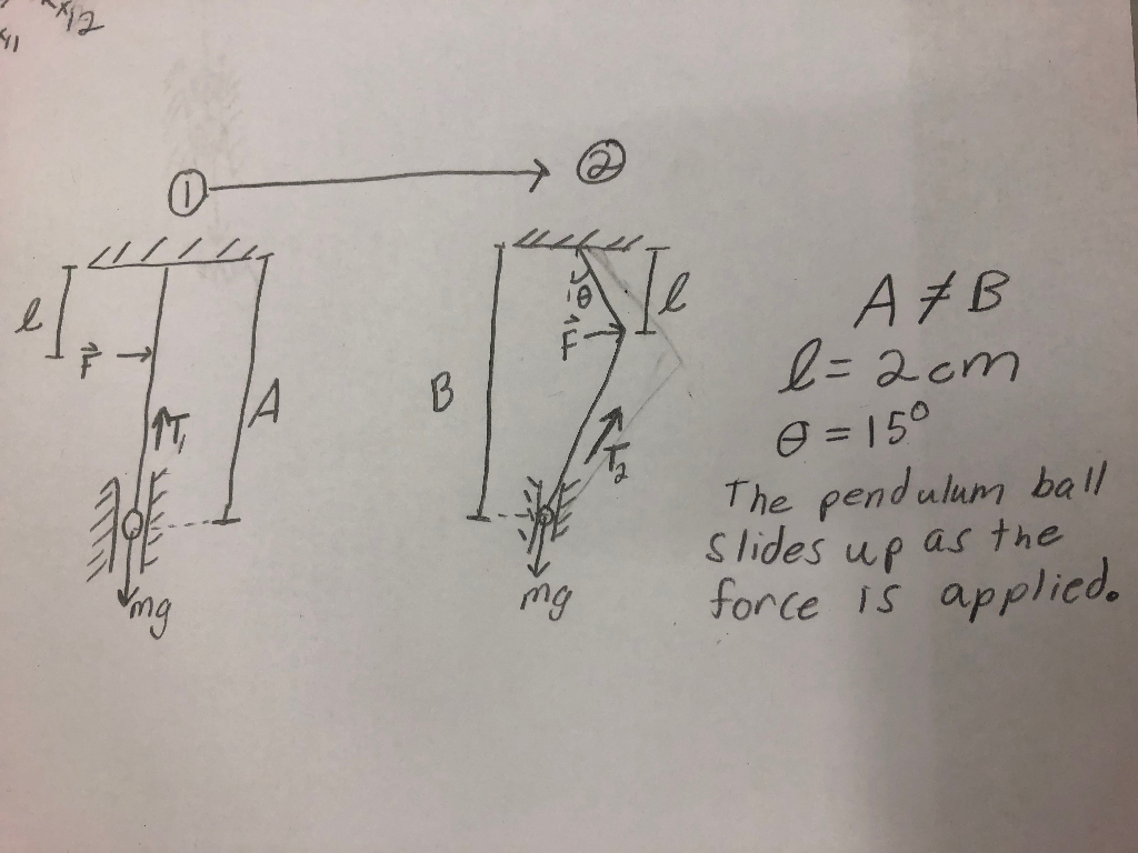 A simple pendulum is held by a fixed hinge at the top | Chegg.com