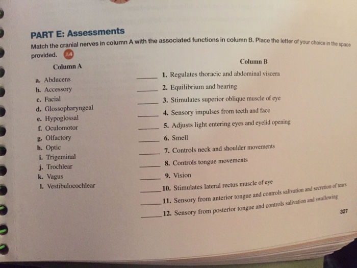 Solved Match the cranial nerves in column A with the | Chegg.com