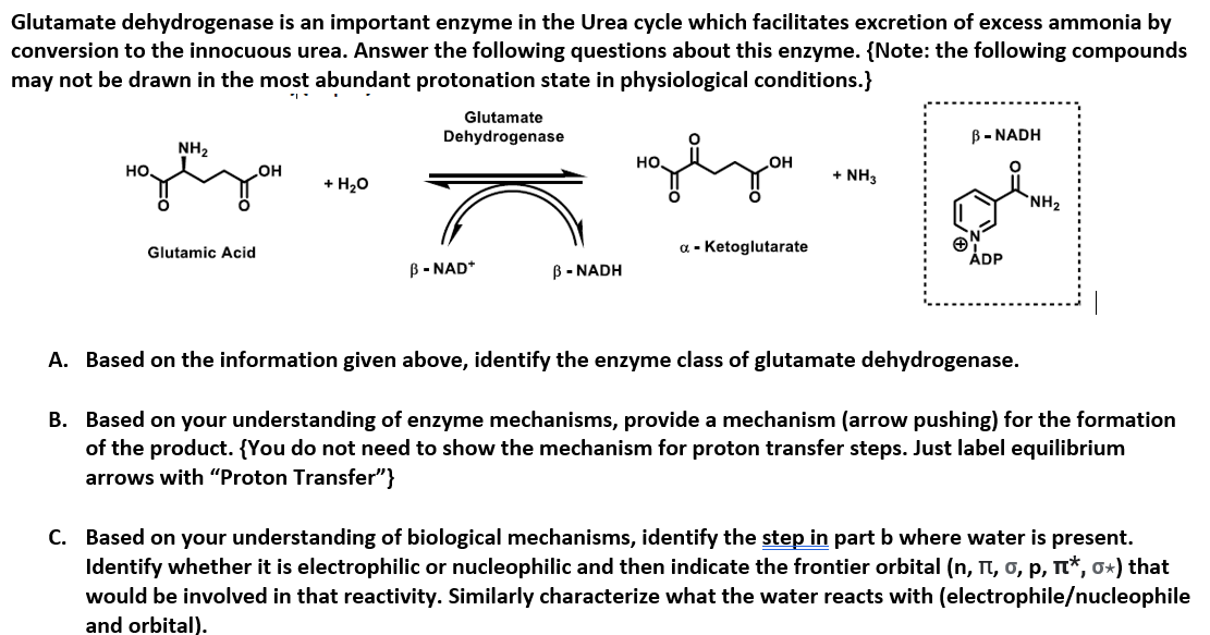 Solved Glutamate dehydrogenase is an important enzyme in the | Chegg.com
