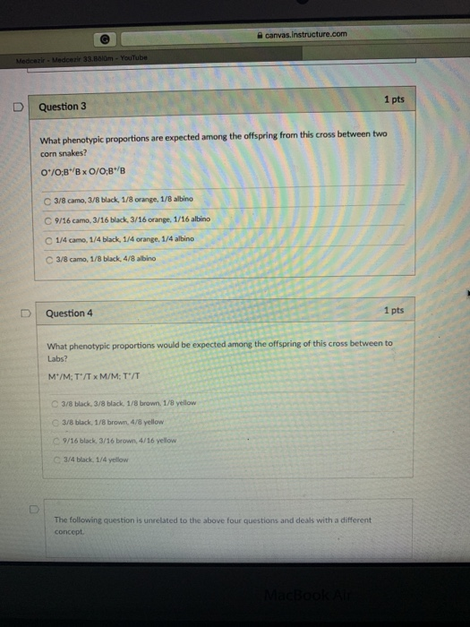Solved canvas.instructure.com 1 pts D Question 3 What | Chegg.com