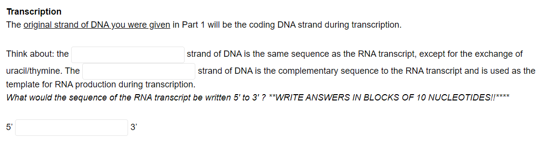 Solved Write out the complementary sequence to the DNA | Chegg.com