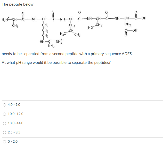 Solved The peptide below । needs to be separated from a | Chegg.com