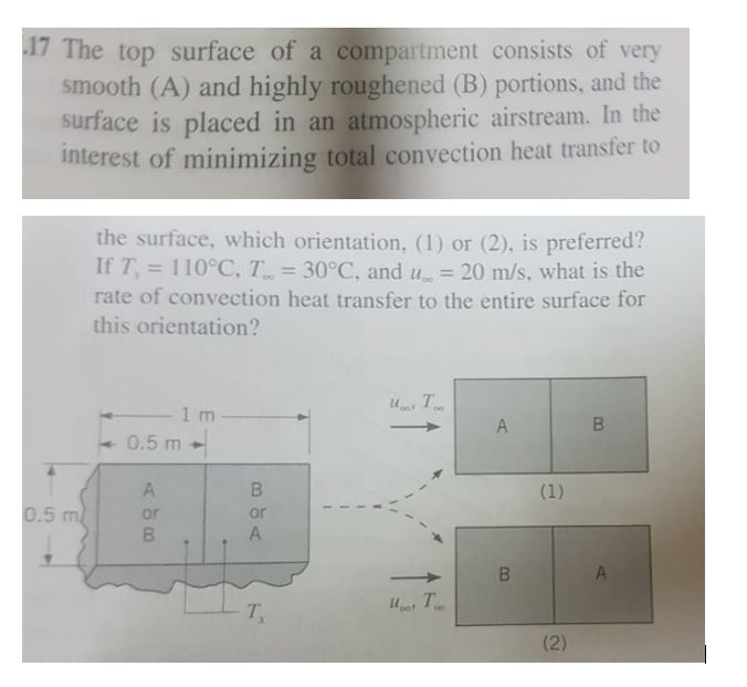 Solved 17 The top surface of a compartment consists of very | Chegg.com