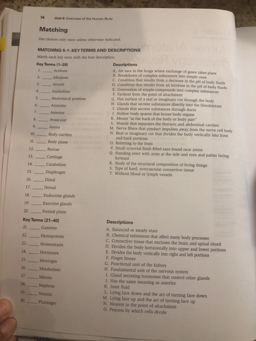 Solved 4 Unit it: Overview of the Human Body Matching Use | Chegg.com