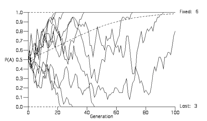 Solved The graph below was produced by the PopG program. | Chegg.com