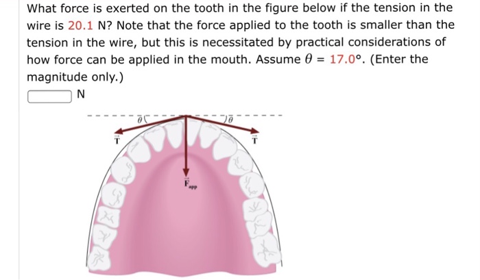 Solved What force is exerted on the tooth in the figure | Chegg.com