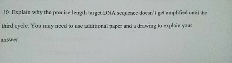 Solved 10. Explain why the precise length target DNA | Chegg.com
