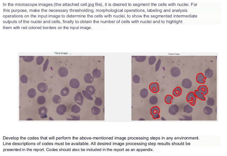 In the microscope images (the attached cell.jpg | Chegg.com
