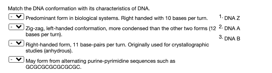 Solved 1. DNA Z Match the DNA conformation with its | Chegg.com