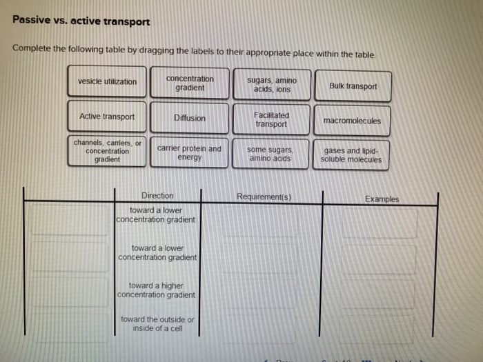 Solved Complete the following table by dragging the labels | Chegg.com