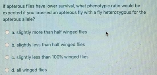 Solved Our P1 cross is between a mutant male fly & a | Chegg.com