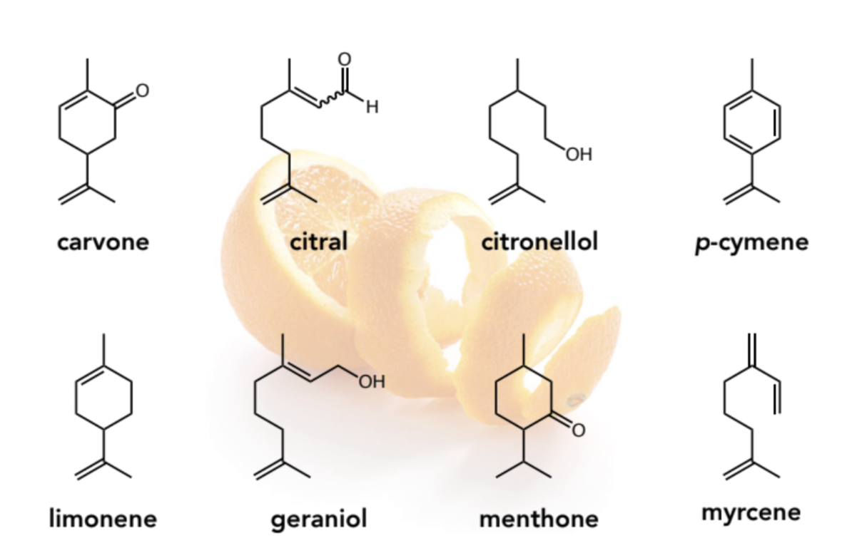 carvone citral citronellol p-cymene limonene geraniol | Chegg.com