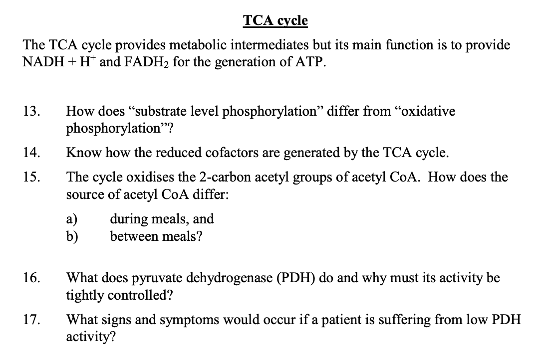 Solved TCA cycle The TCA cycle provides metabolic | Chegg.com