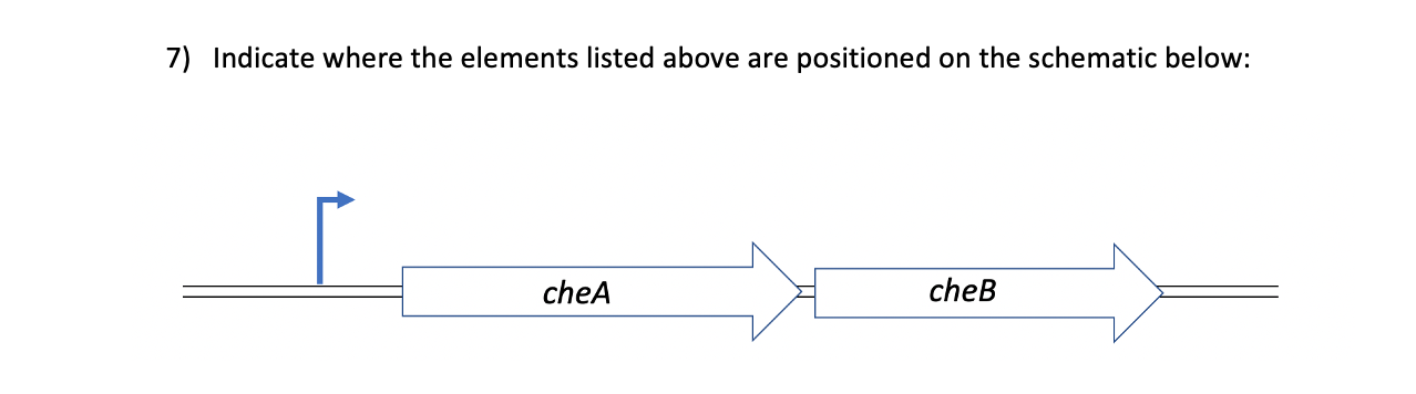 Solved 7) Indicate where the elements listed above are | Chegg.com