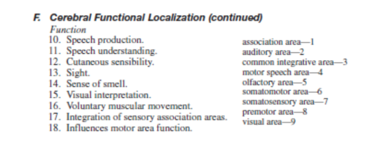 Solved F. Cerebral Functional Localization (continued) | Chegg.com