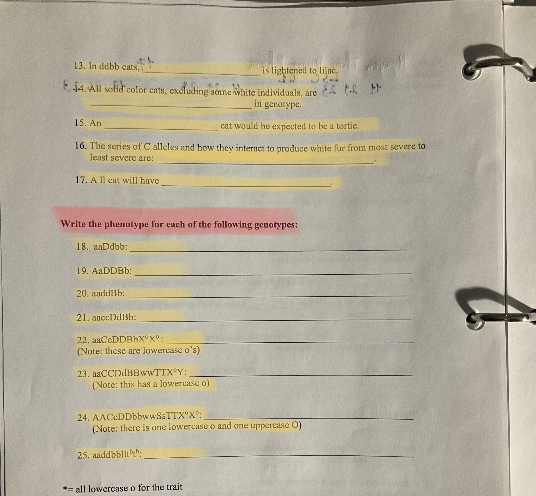 Solved Laboratory Exercise \#13 Cat Genetics Objective: This | Chegg.com