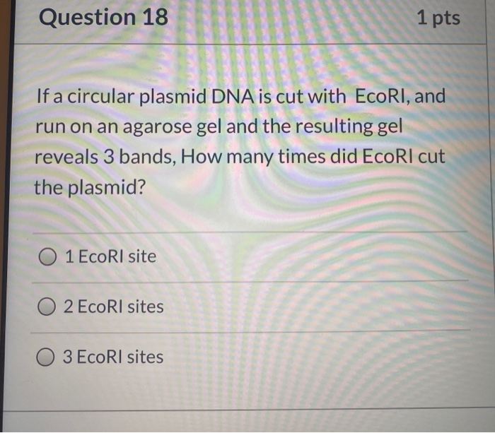 Solved Question 18 1 pts If a circular plasmid DNA is cut | Chegg.com