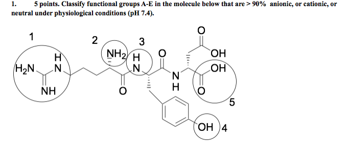 Solved I. 5 points. Classify functional groups A-E in the | Chegg.com
