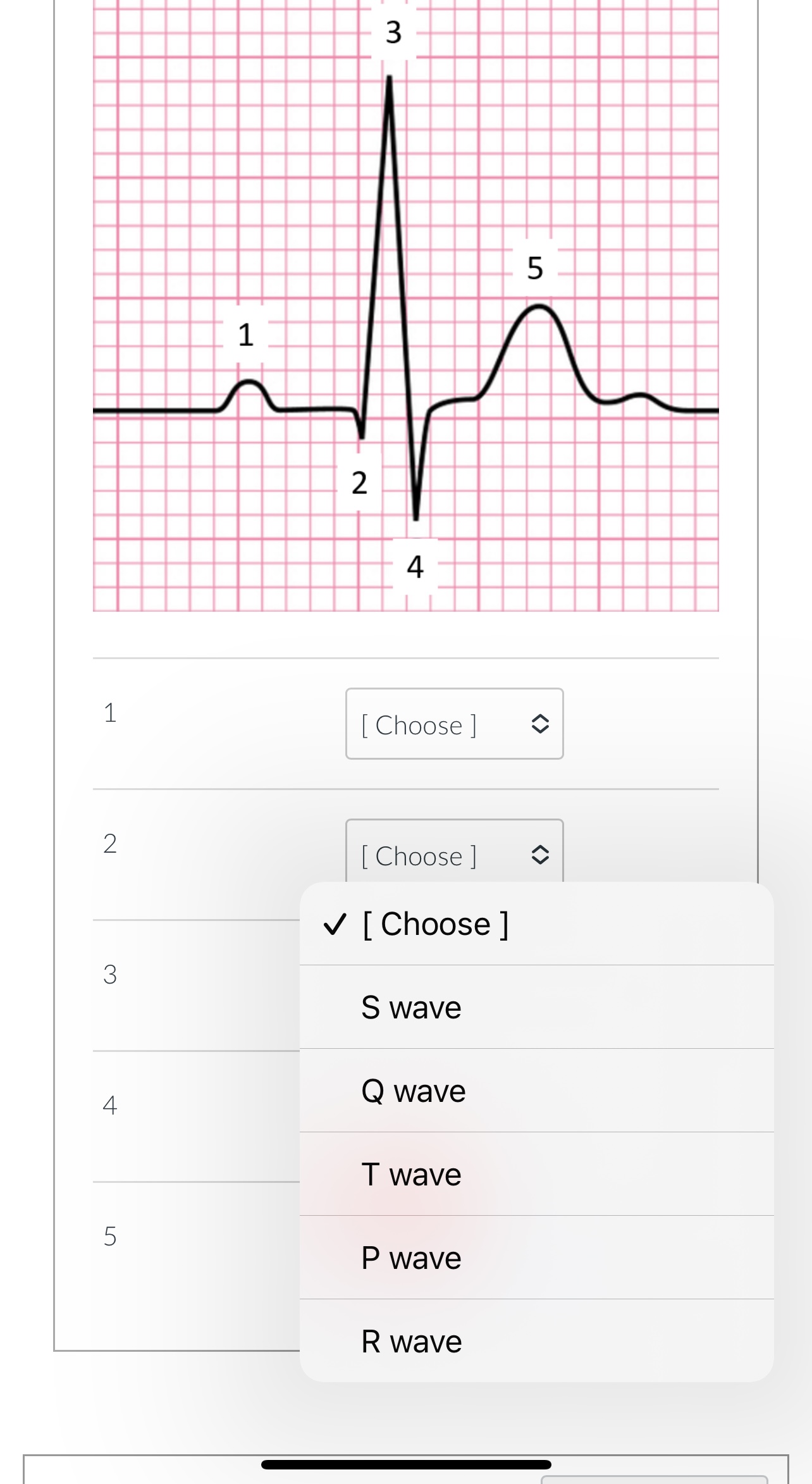 Solved 3 1 [Choose ] v^ 2 [ Choose] [ Choose ] 3 S wave 4 | Chegg.com
