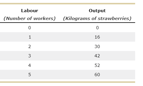 [Solved]: Consider Live Happley Fields, a small player in th