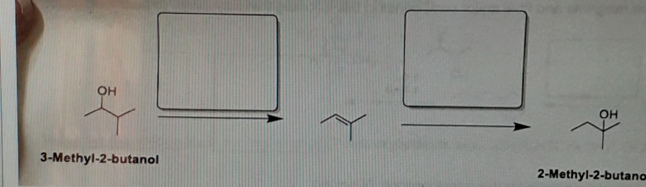 Solved 3-Methyl-2-butanol 2-Methyl-2-butano | Chegg.com
