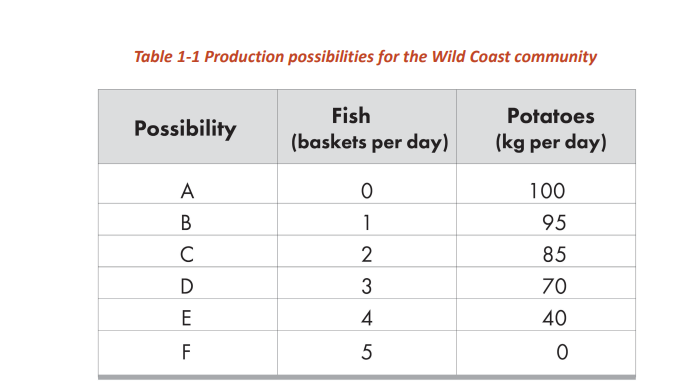 Solved Table 1-1 Production possibilities for the Wild Coast | Chegg.com