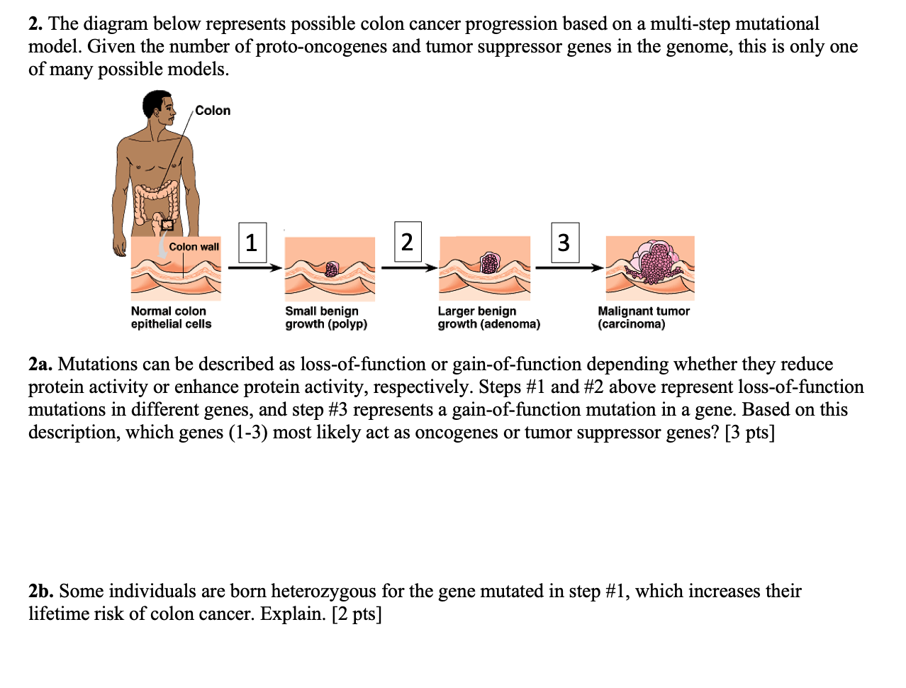 Solved 2. The diagram below represents possible colon cancer | Chegg.com