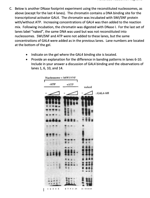 Solved C. Below is another DNase footprint experiment using | Chegg.com
