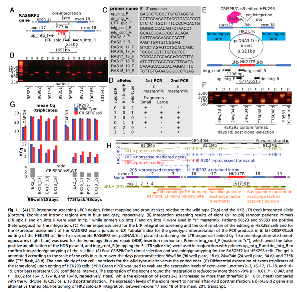 Solved 1. Explain the observed results in Figures 1A and 1B | Chegg.com