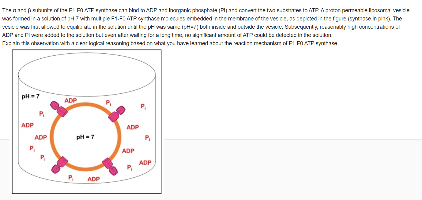 Solved The a and ß subunits of the F1-F0 ATP synthase can | Chegg.com